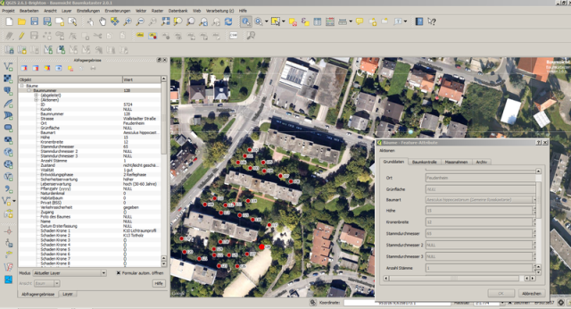 Baumkataster | Löwer-Baumpflege